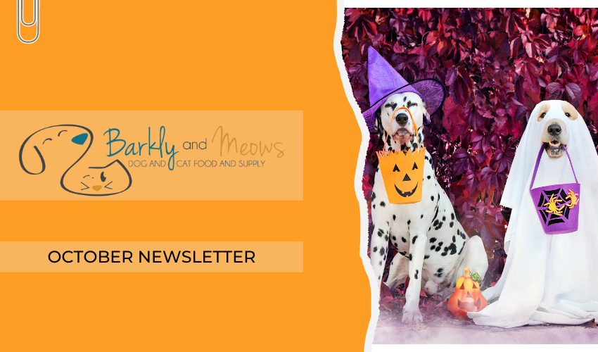 October Newsletter